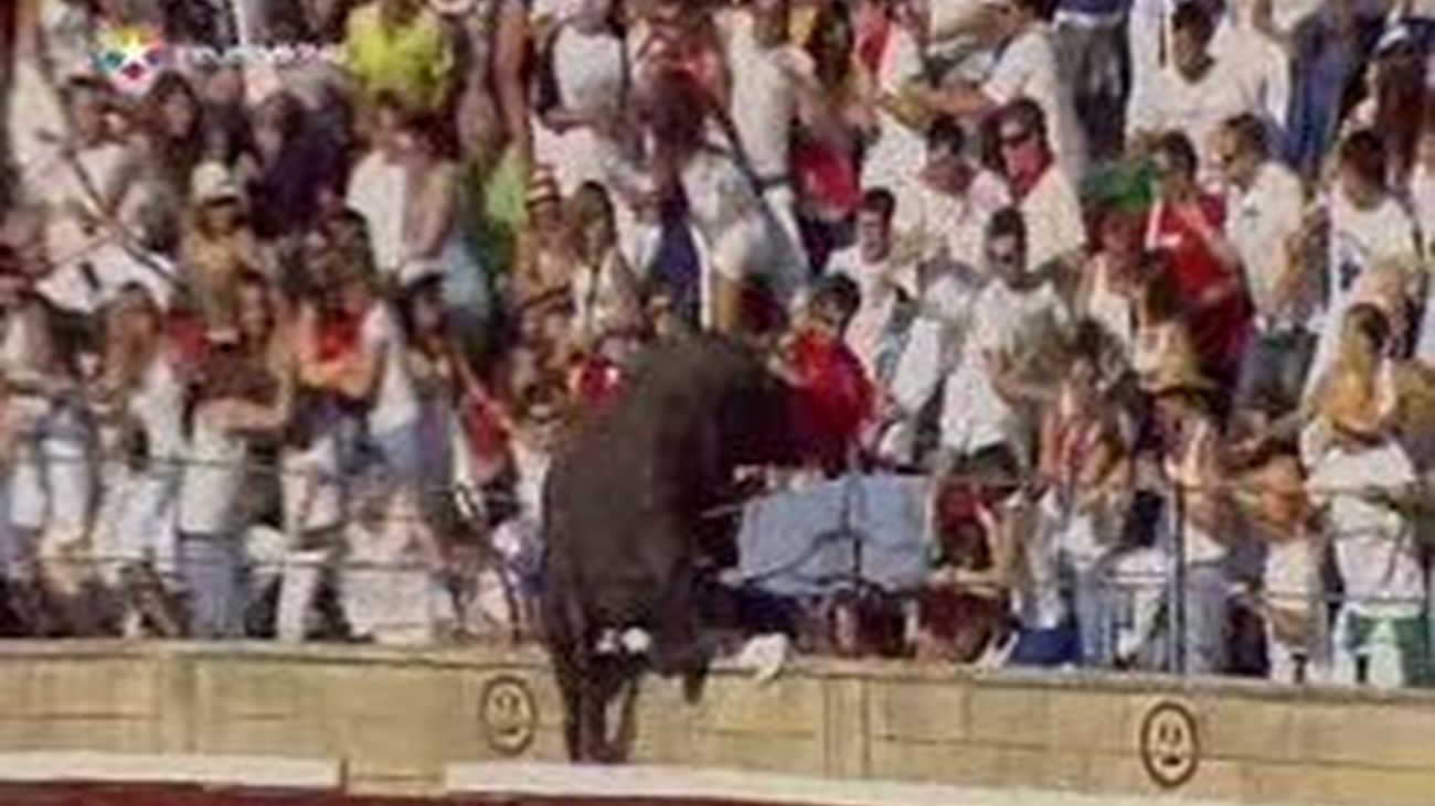 Un toro salta al tendido de la Plaza de Toros de Tafalla y hiere a unas ...