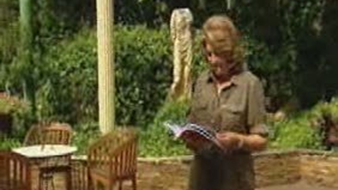 Mia Patterson publica un libro sobre "75 años de historia del musical ...