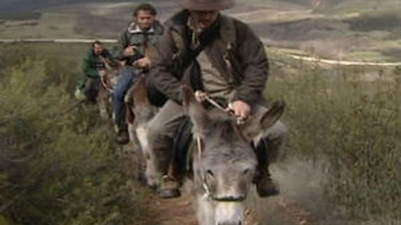 Ruta en Burro