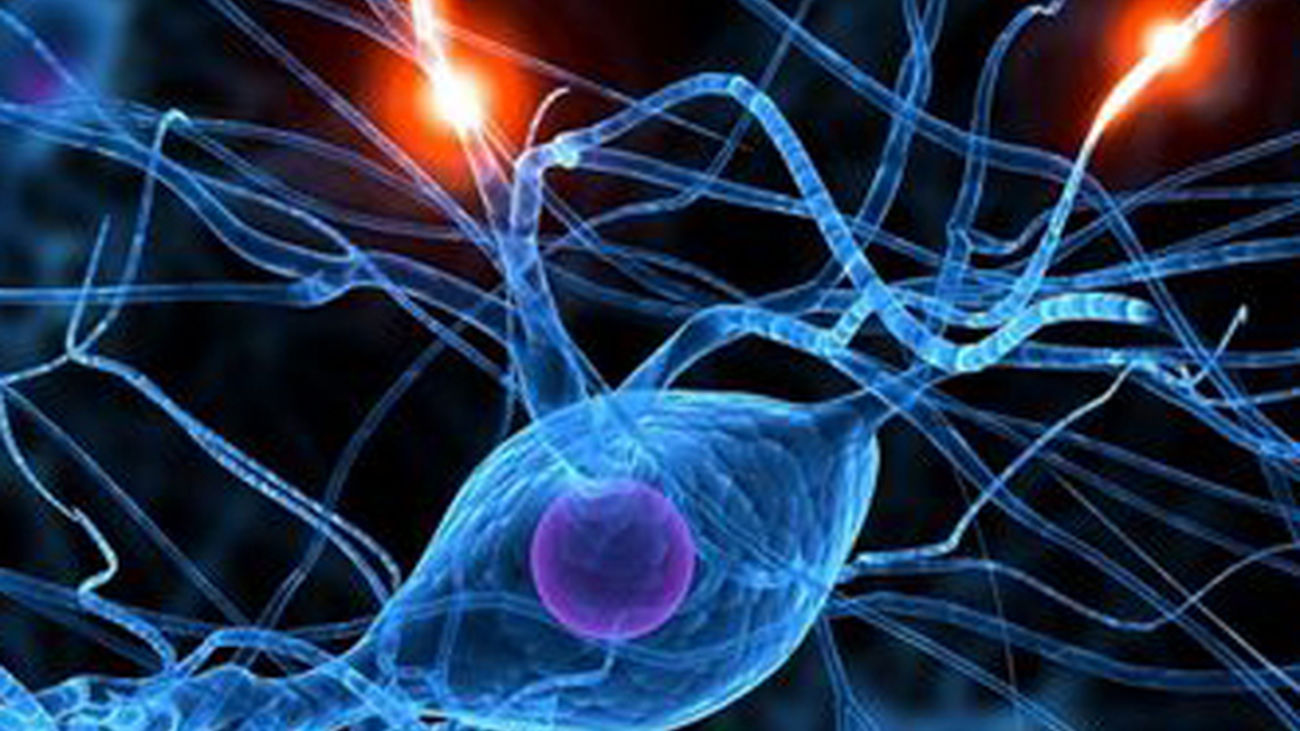 Descubren una red neuronal generalizada del cerebro humano donde se ...