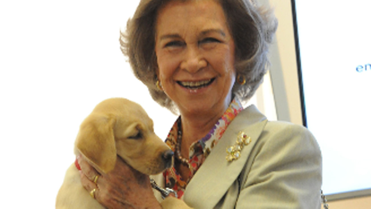 La ONCE ha entregado en 25 años más de 2.500 perros guía