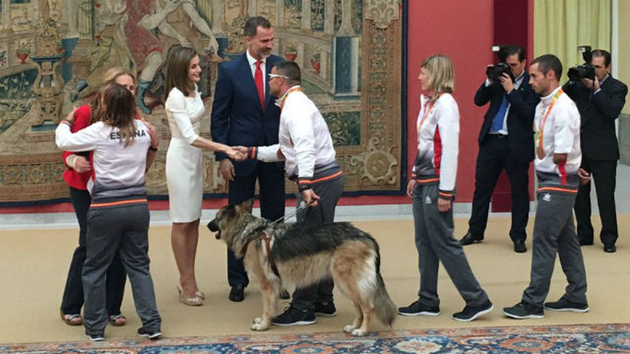 El Rey, a los olímpicos y paralímpicos: "Sois un ejemplo magnífico"