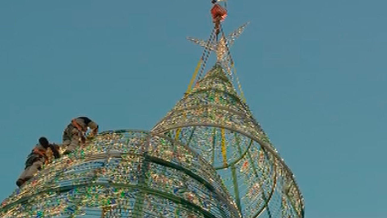 Adiós al abeto de Sol