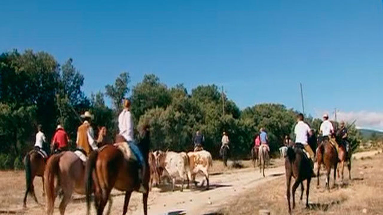 Conoce las fiestas de Cerceda
