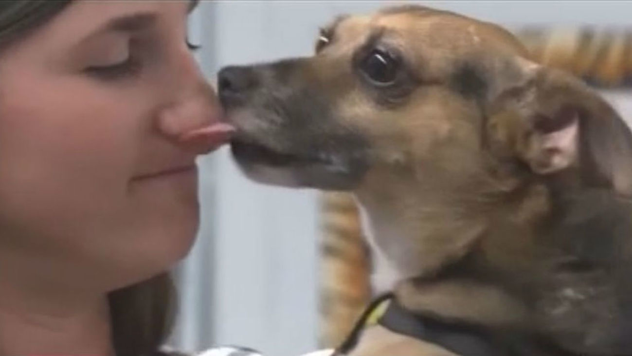 Aprenden adoptando un perro