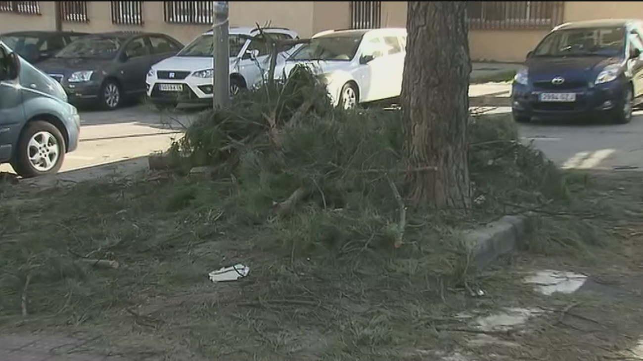 Las calles del barrio de Simancas siguen llenas de las ramas de árboles ...