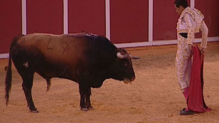 Toros en Telemadrid - Telemadrid - Programas completos