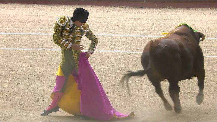 Toros en Telemadrid - Telemadrid