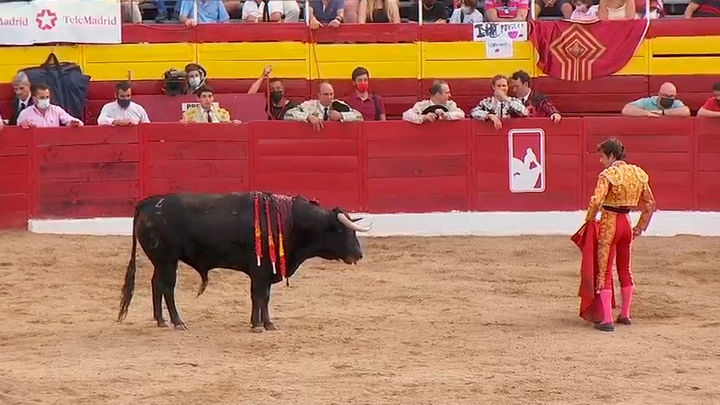 Telemadrid - toros