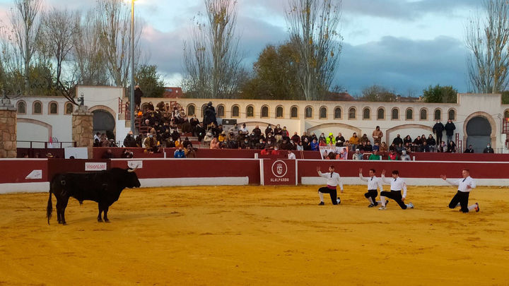 Toros en Telemadrid - Telemadrid