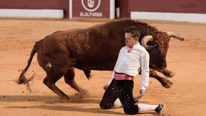 Toros en Telemadrid - Telemadrid - Mejores momentos