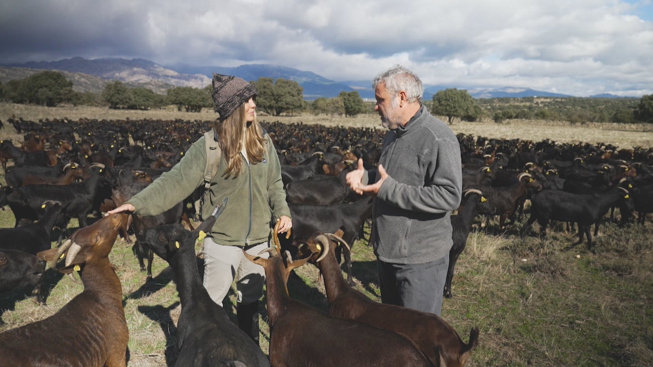 Aprendemos a pastorear cabras en Colmenar Viejo
