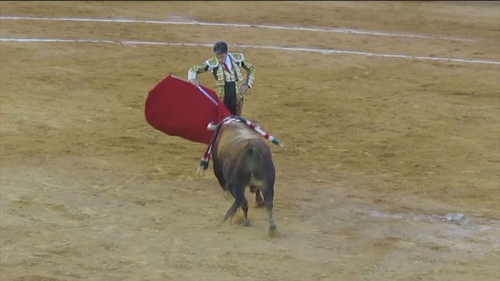 TOROS EN DIRECTO EN TELEMADRID: Final de la Copa Chenel desde Cadalso ...
