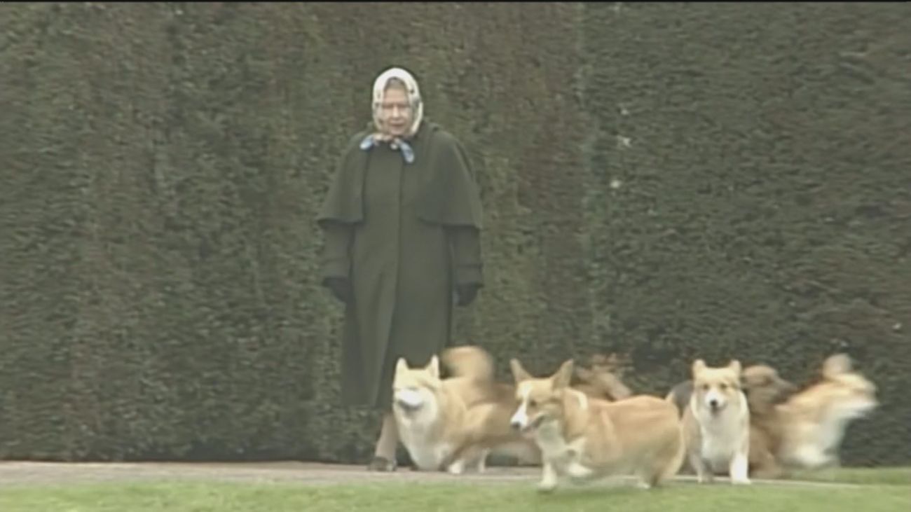 Qué será de los perros de Isabel II: Honey, Pickles, Tinker, Chipper ...