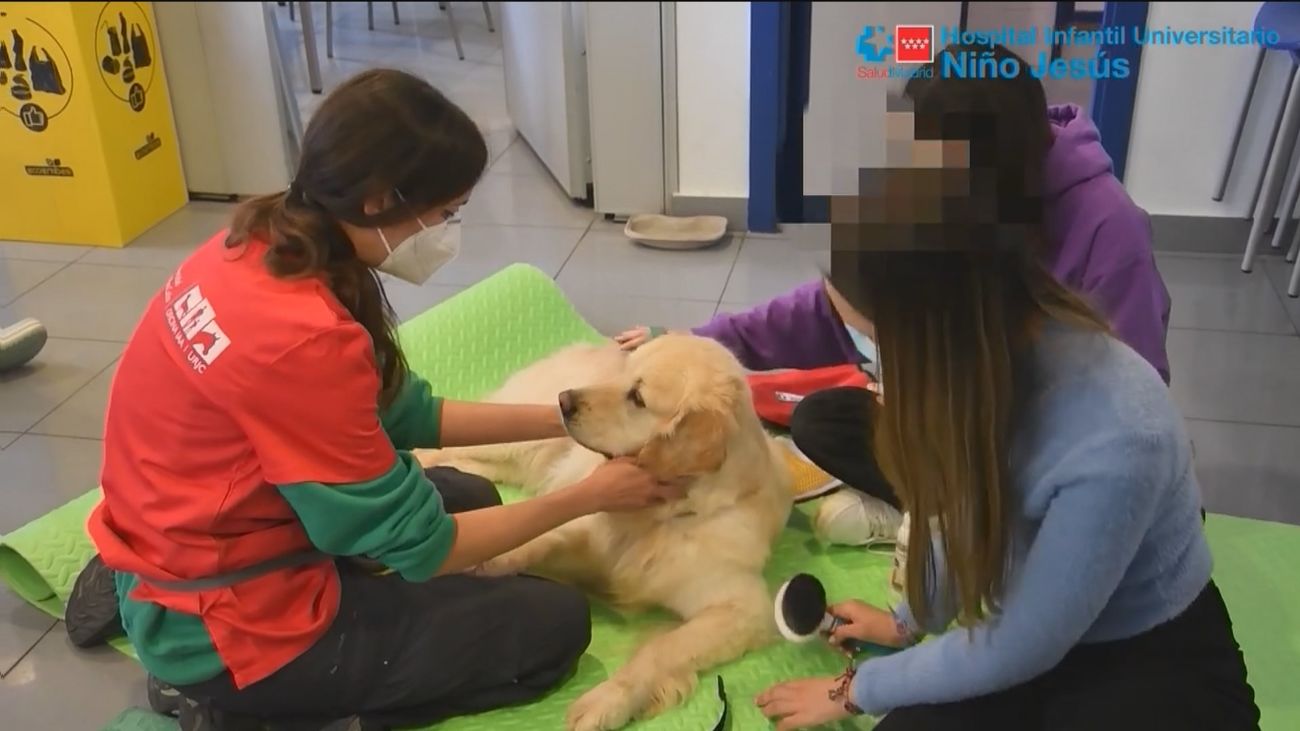 Cómo los perros pueden ayudarnos a superar la anorexia y la bulimia