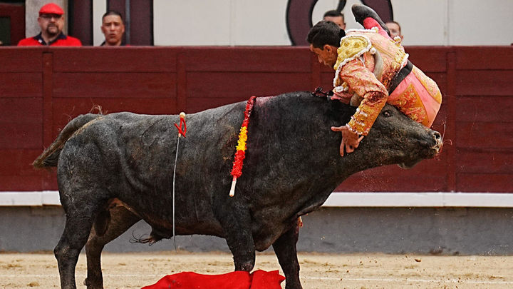 Toros en Telemadrid - Telemadrid