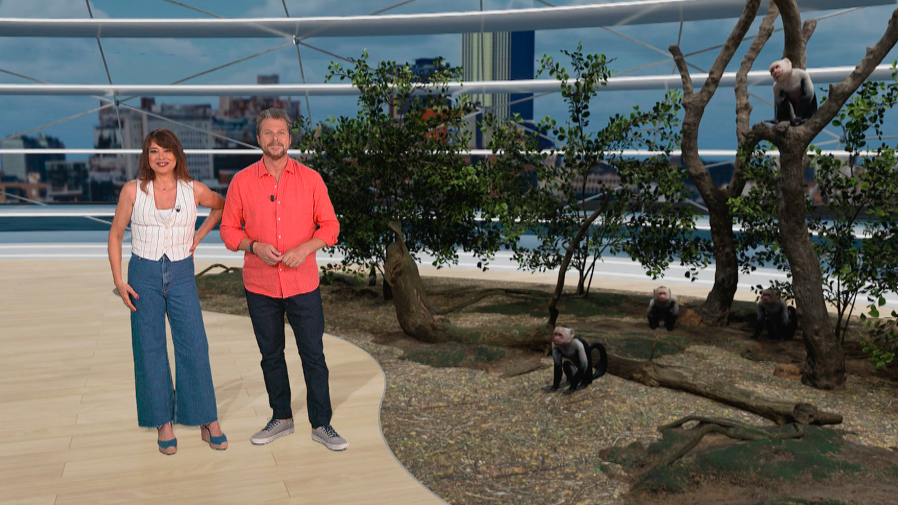 Vamos de senda ecológica a Talamanca de Jarama