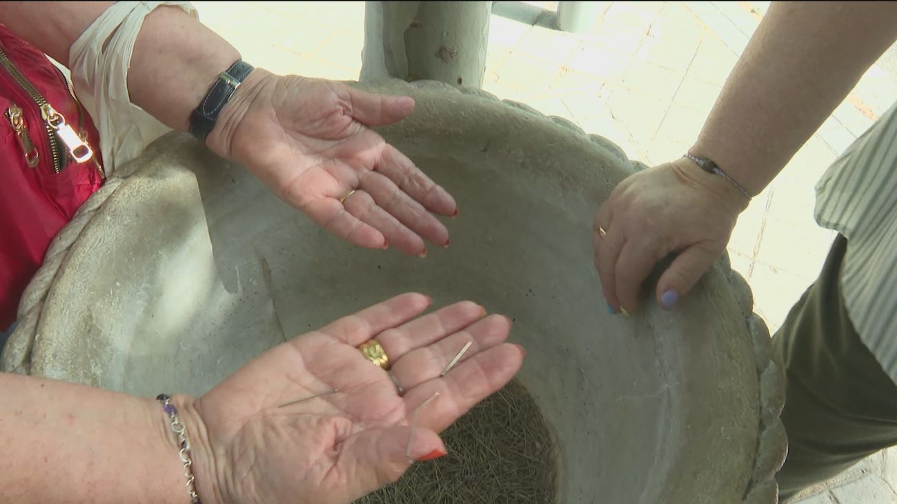 Día de tradiciones por San Antonio: alfileres, pan y parpusa