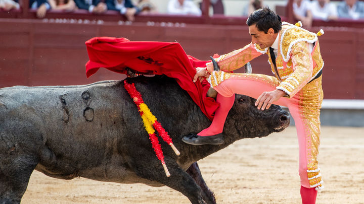 Toros en Telemadrid - Telemadrid