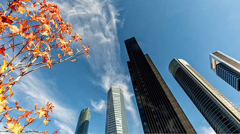 Las últimas noticias de Madrid, España y el Mundo en Telemadrid.es