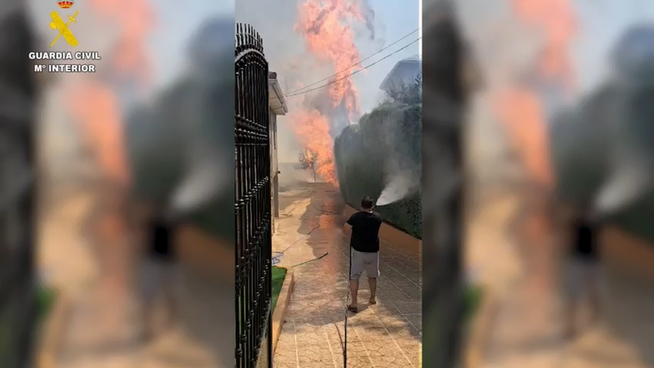 ¿Conoces el origen de la expresión madrileña 'Dabuti'?